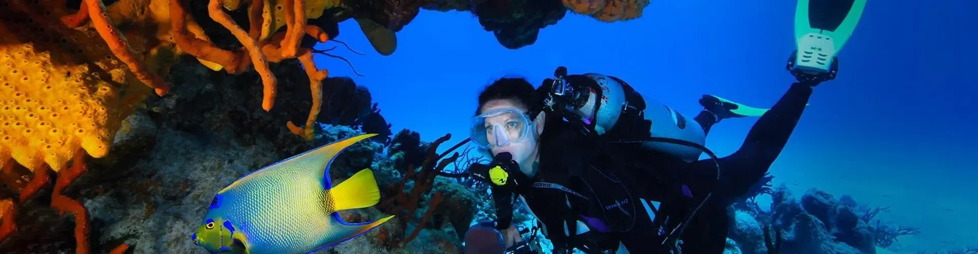 Best diving sites in Mexico and Jamaica | Palace Resorts