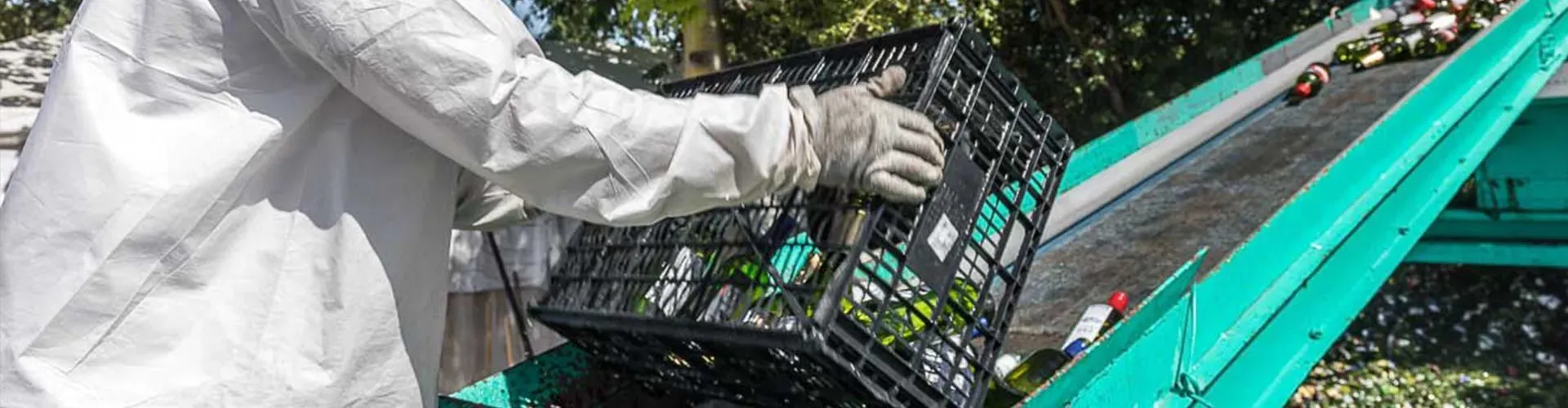 Discover how to reduce our carbon footprint| Palace Resorts®