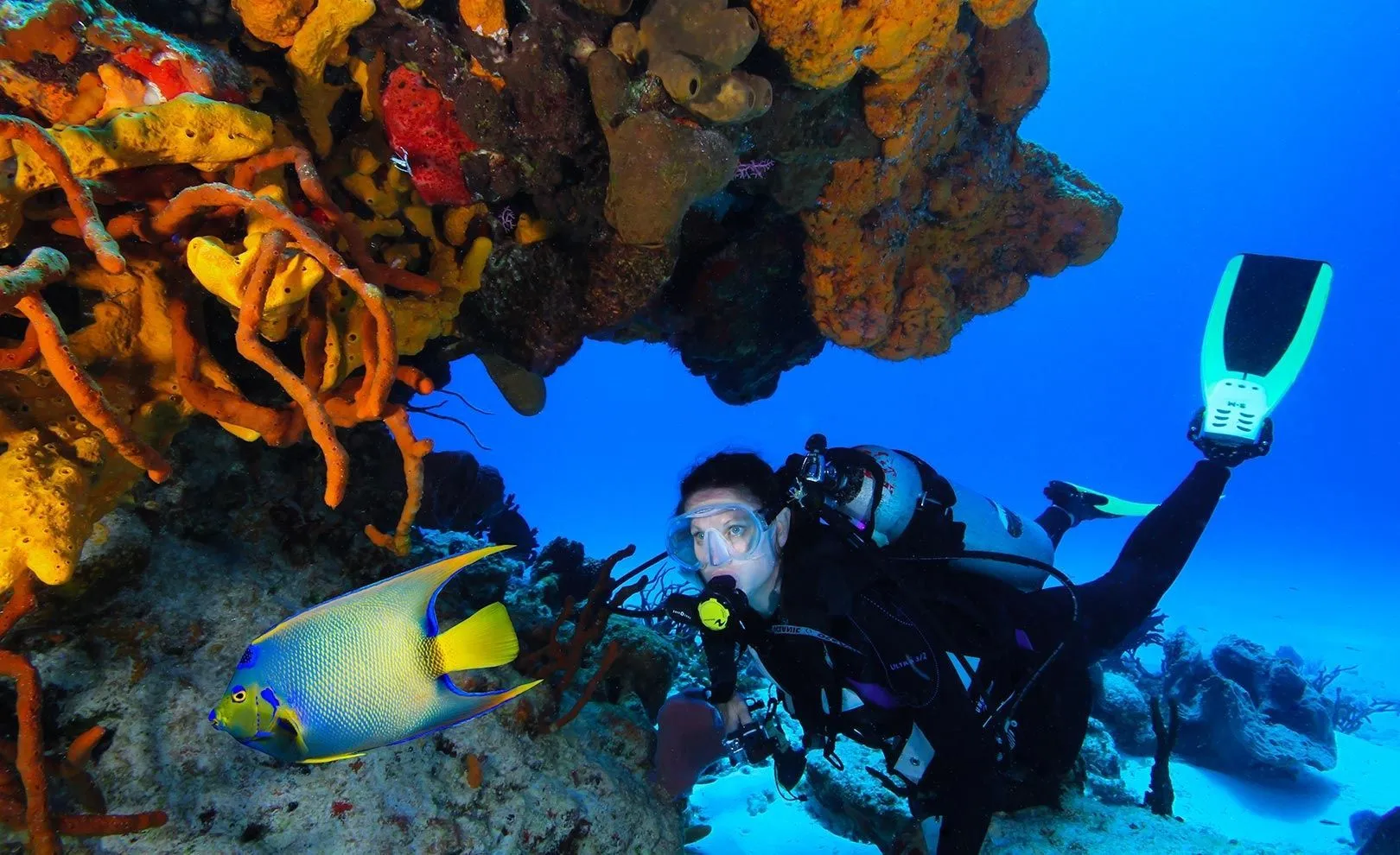 Unique Resort Experiences and Activities | Palace Resorts