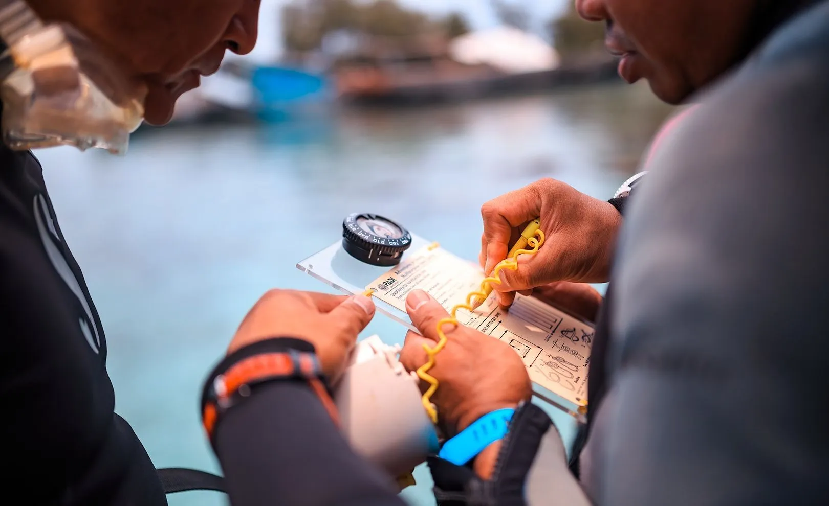 Unique Resort Experiences and Activities | Palace Resorts