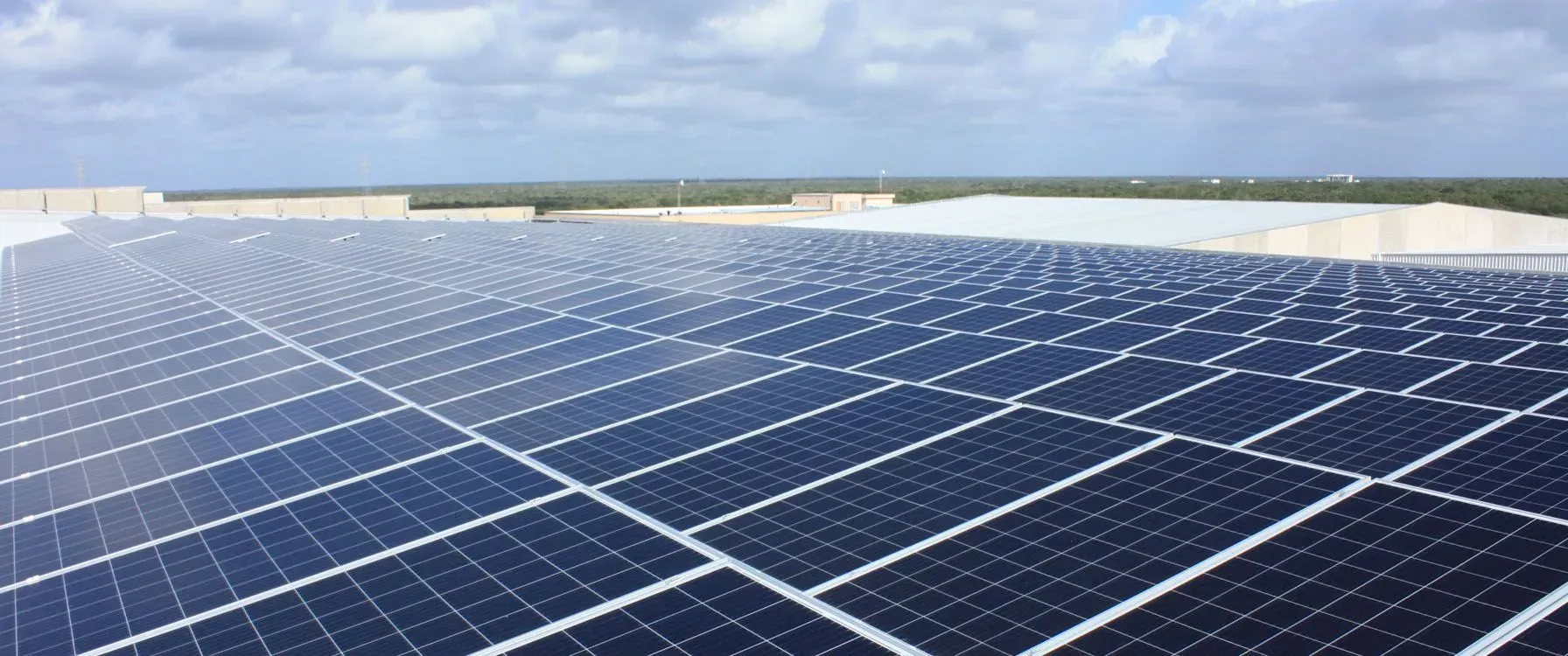 Sustainable Tourism: Facing Climate Change | Palace Resorts